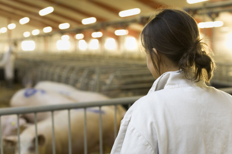 Quarantine for high value breeding stock – DanBred Knowledge Hub