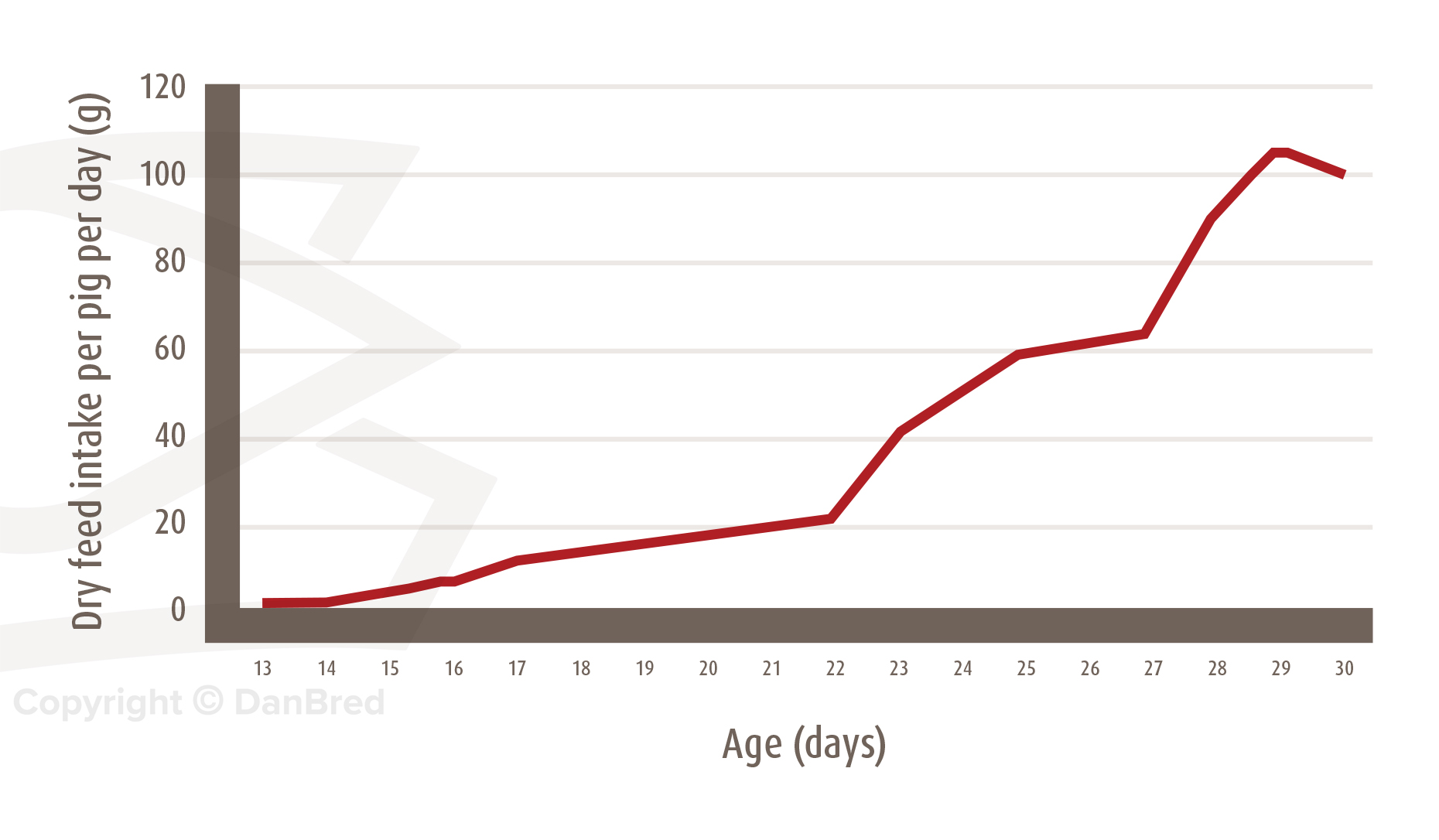 Weaning – The foundation for success – DanBred Knowledge Hub