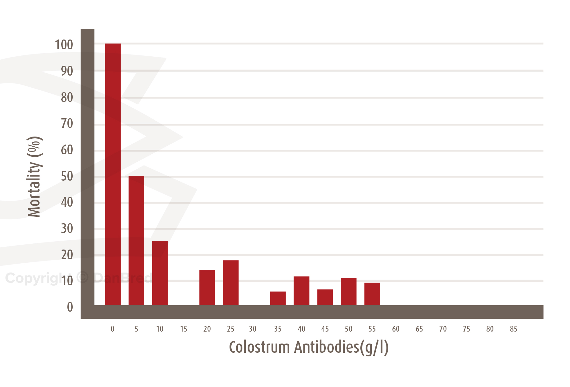 Piglet growth – Support colostrum supply – DanBred Knowledge Hub