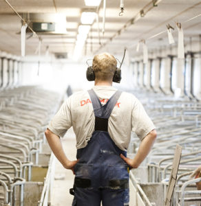 Solutions – DanBred Knowledge Hub